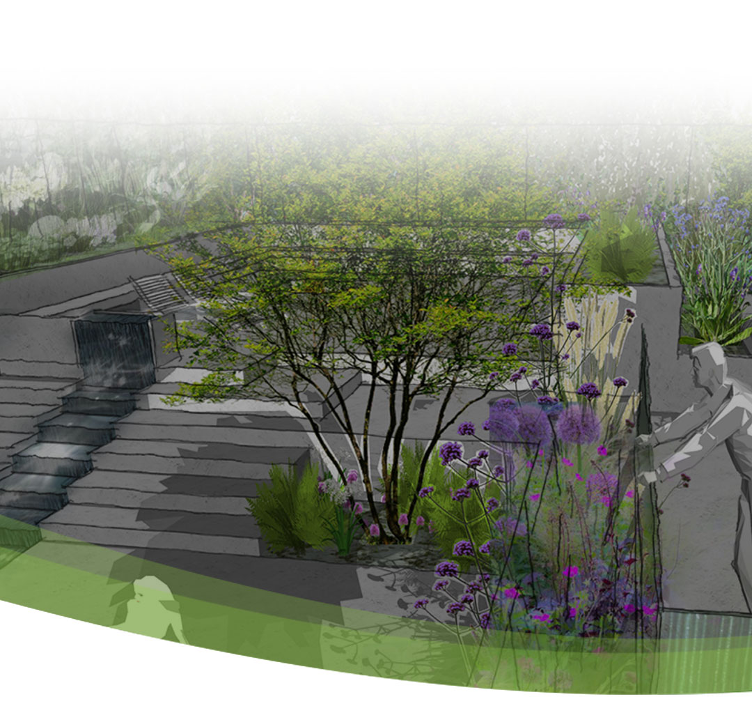 Garden renovation - Katherine Lee Garden Design